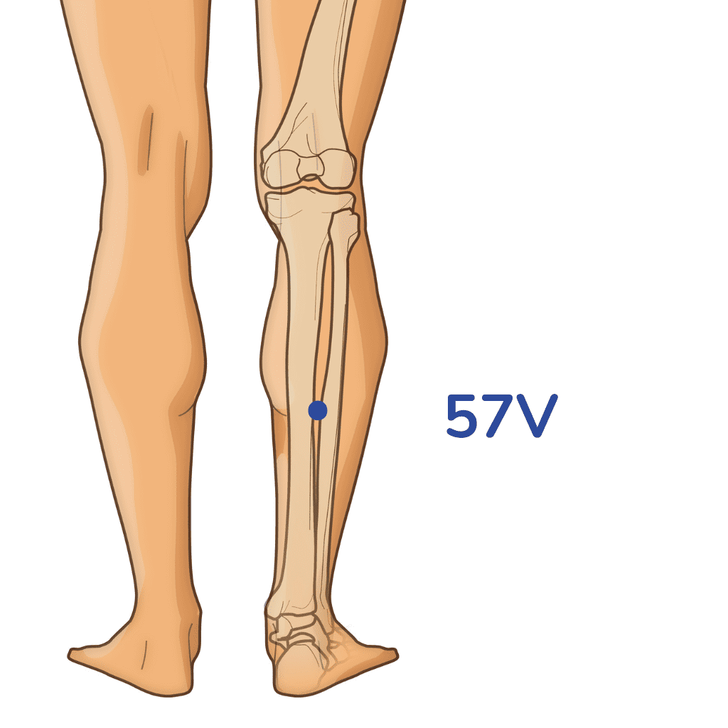 Point d'acupuncture Chengshan (57V) - Méridien de la Vessie