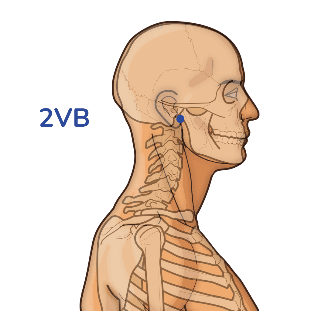 Point d'acupuncture Tinghui (2VB) - Méridien de la Vésicule Biliaire